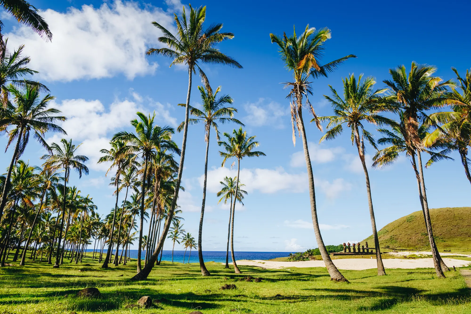 Ovahe Beach | The Hidden Beach Of Rapa Nui - Easter Island