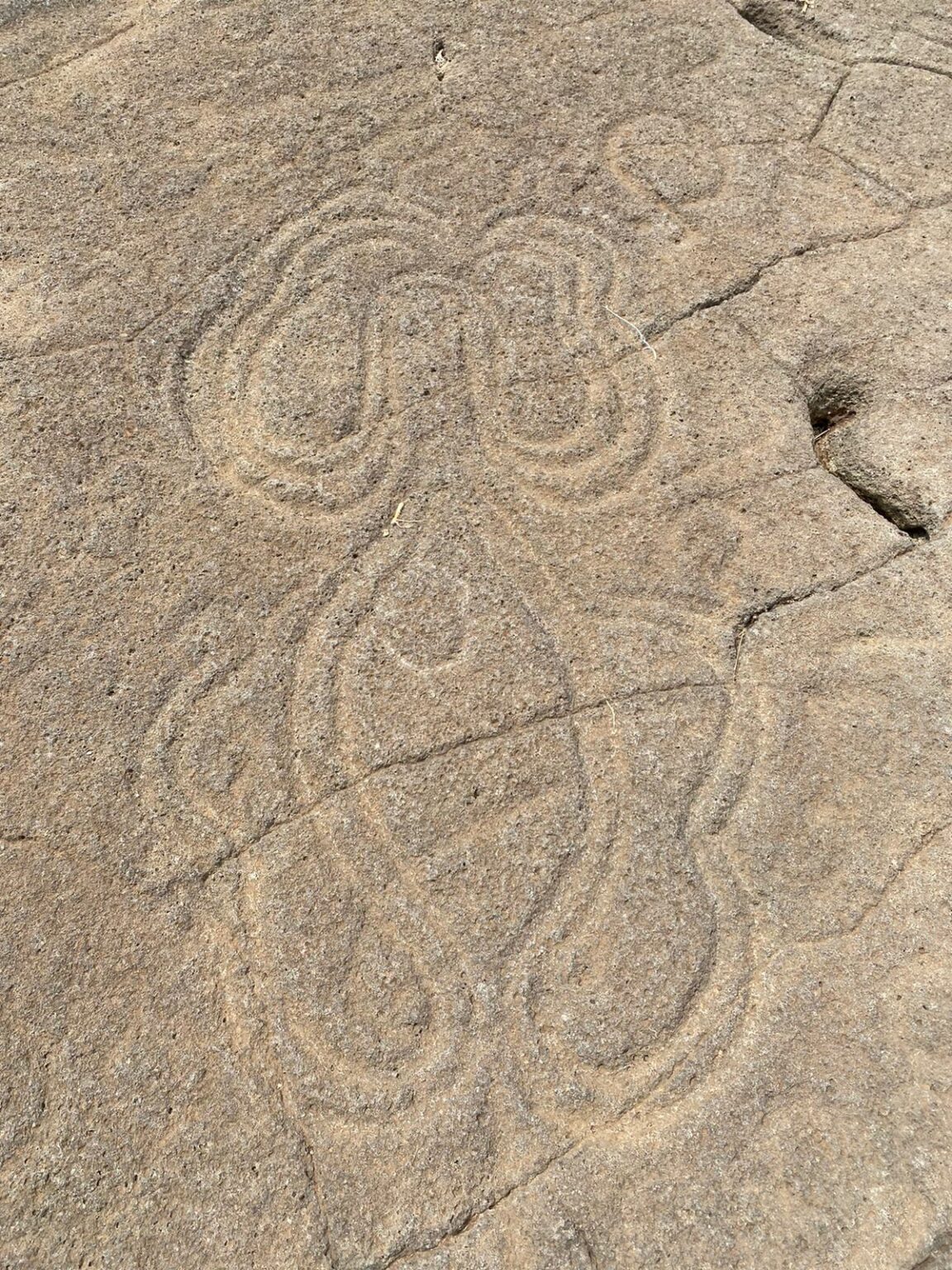 Papa Vaka - The Largest Rapa Nui Petroglyphs