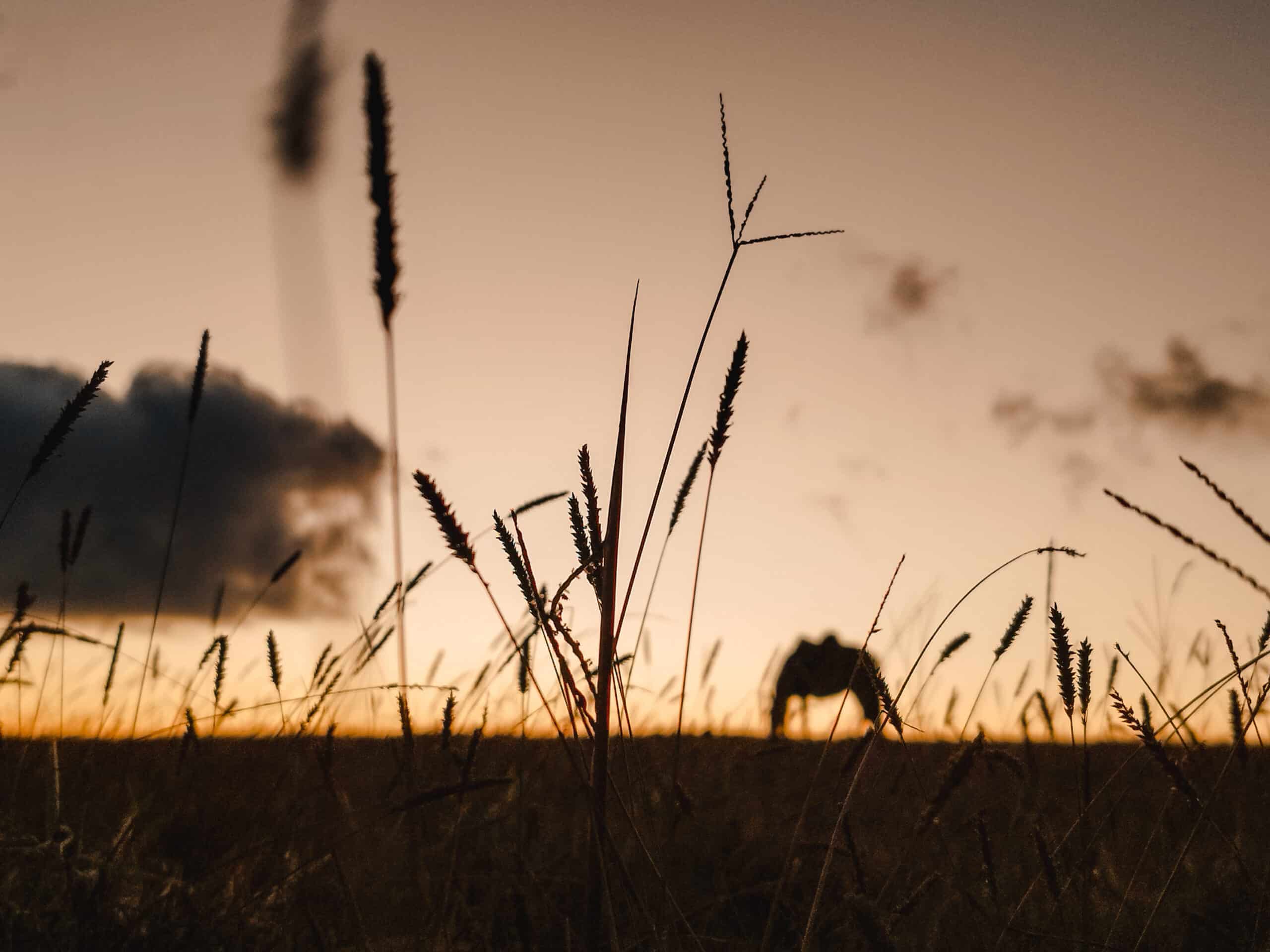 Adventure Terevaka | Rapa Nui Travel Guide
