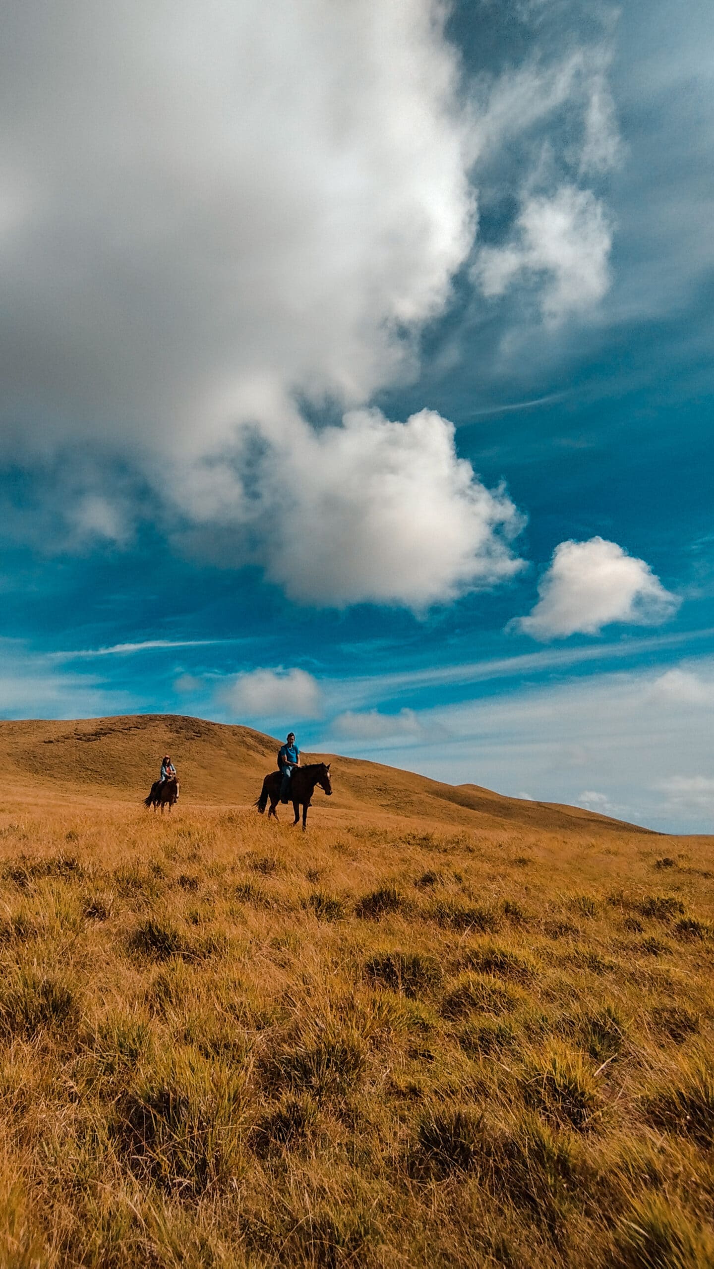 Adventure Terevaka | Rapa Nui Travel Guide