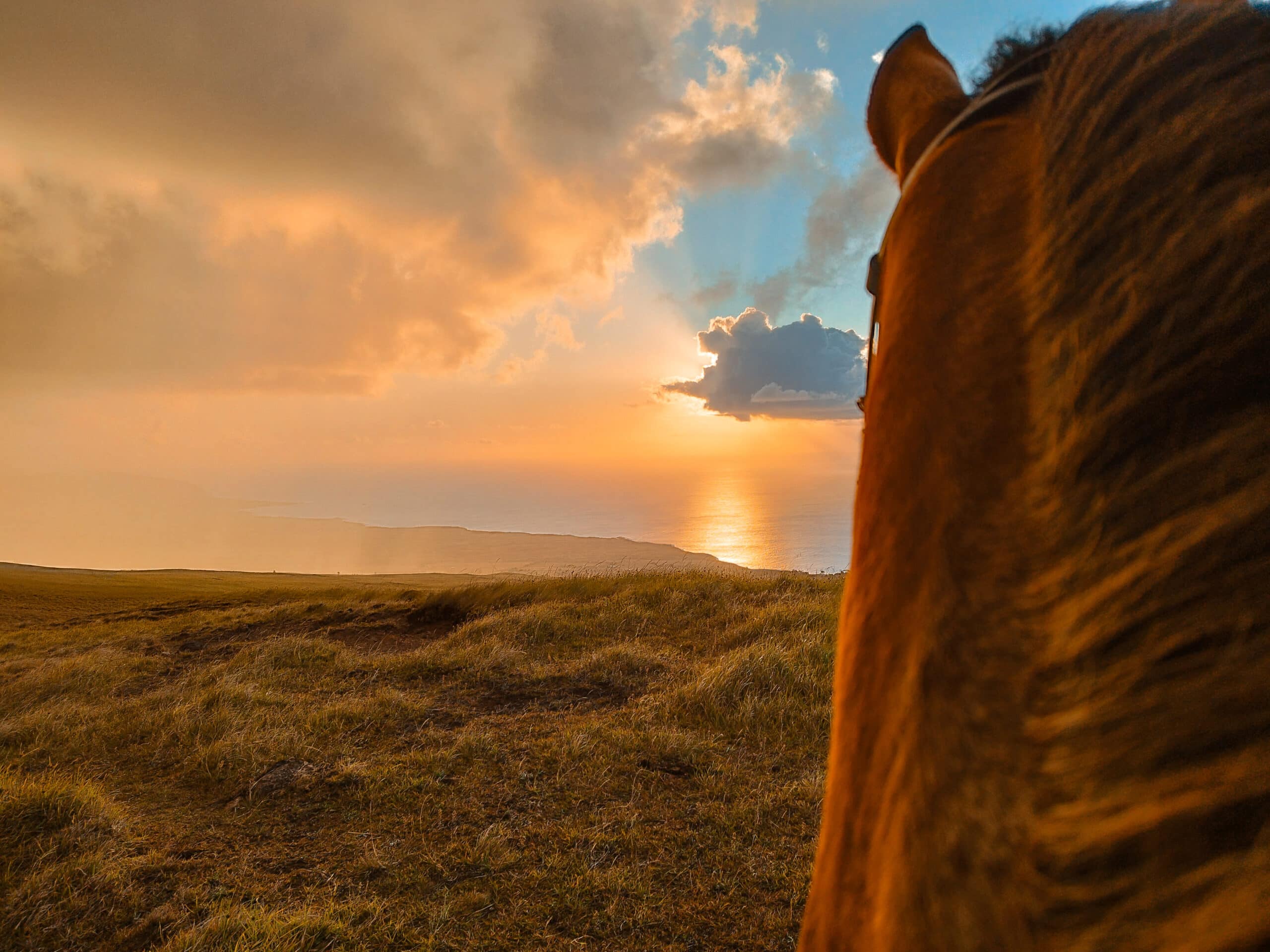 Adventure Terevaka | Rapa Nui Travel Guide